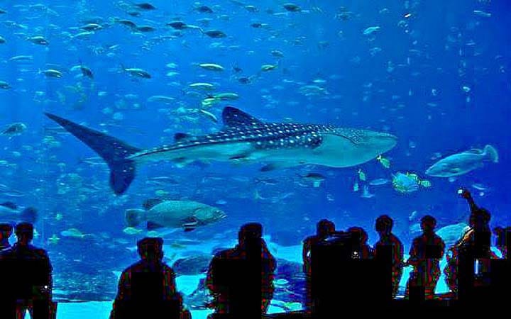 Hurghada Grand Aquarium - AdReisen 2026