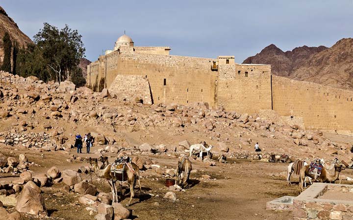 Mount Sinai Tour From Sharm El Sheikh - AdReisen 2025