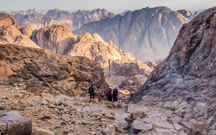Mount Sinai Tour From Sharm El Sheikh - AdReisen 2025