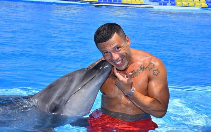 Swimming with Dolphin Sharm El Sheikh - AdReisen 2026